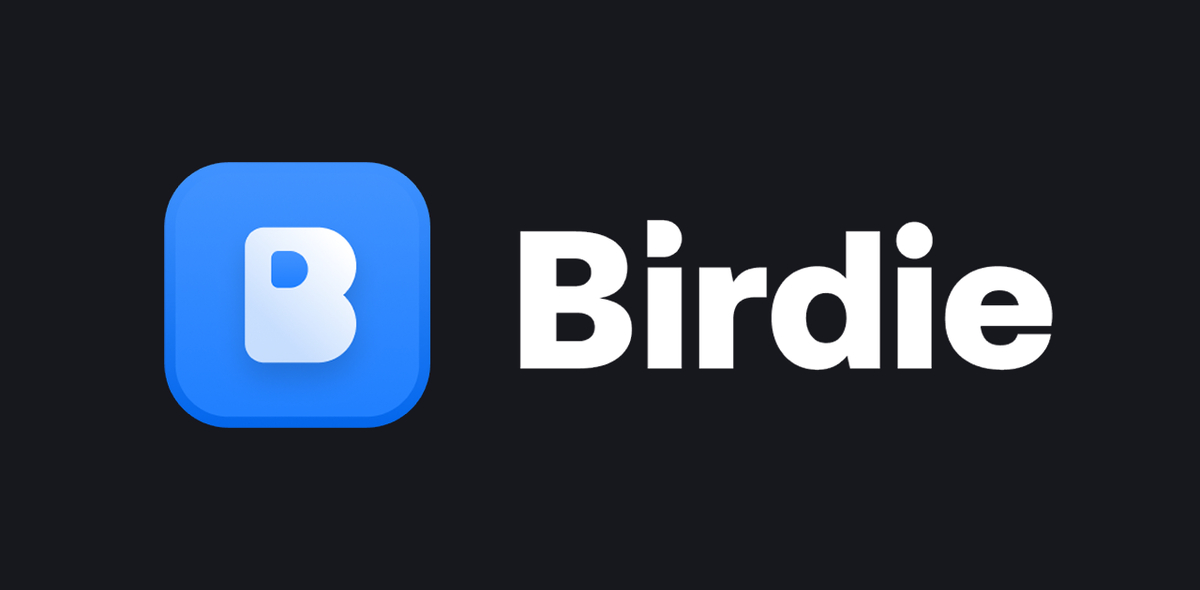 DevTools: Console Logs & Network Requests | Birdie